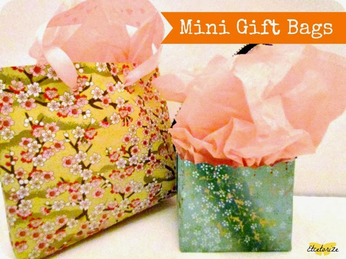 Etcetorize: Mini Gift Bags