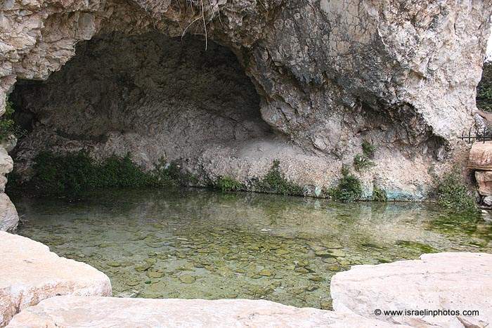 Travel | Flowers in Israel: Harod Spring (Ma'ayan Harod) National Park ...