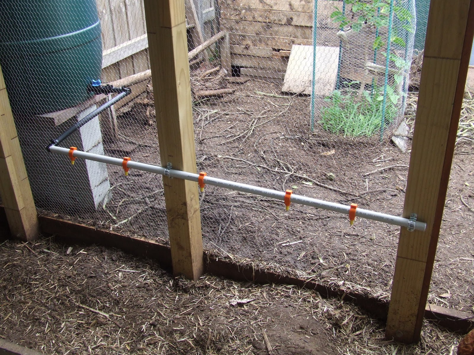 Chicken Nipple Installation - The Greening of Gavin