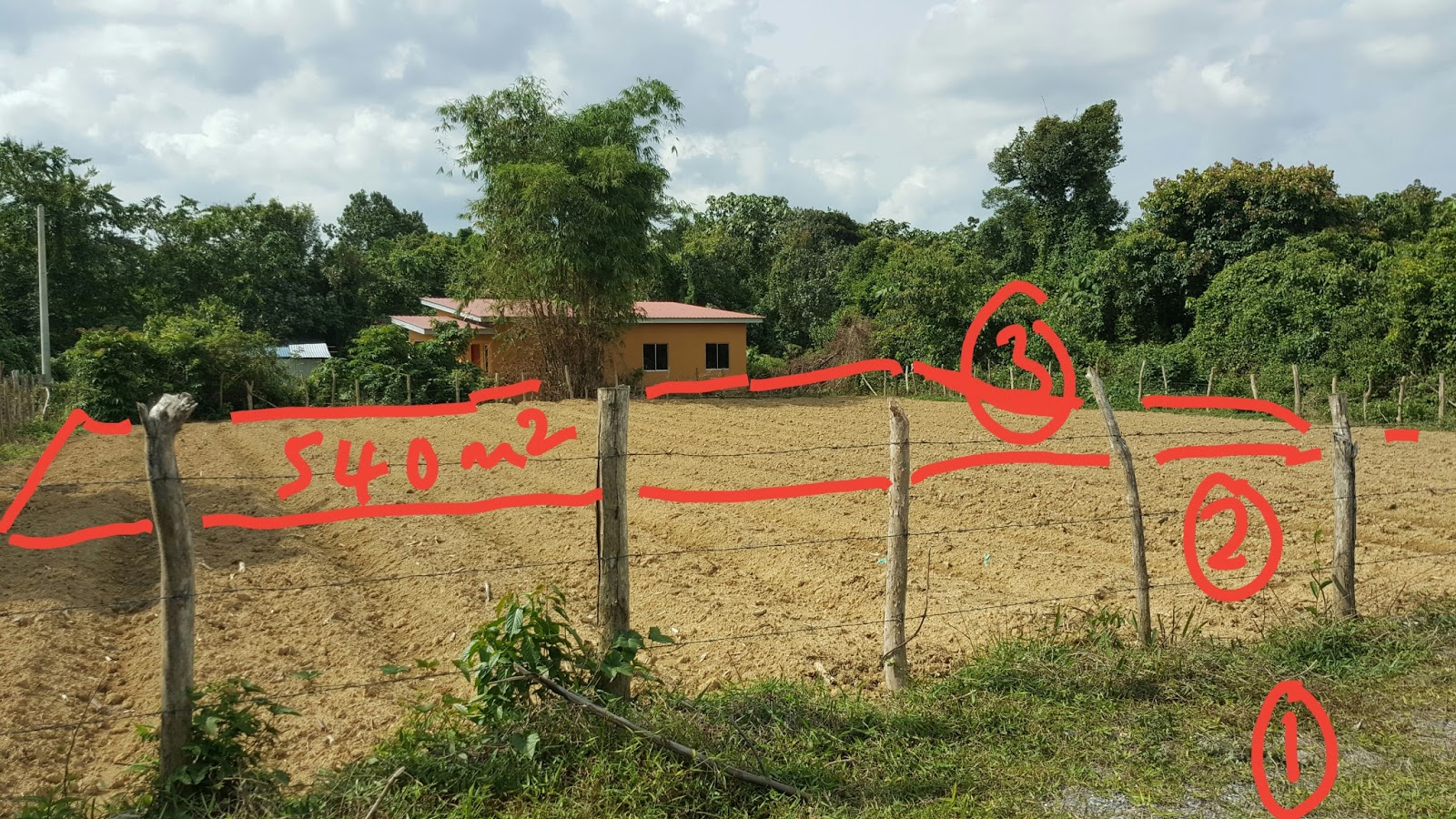 a.nasser md. rose: 2018