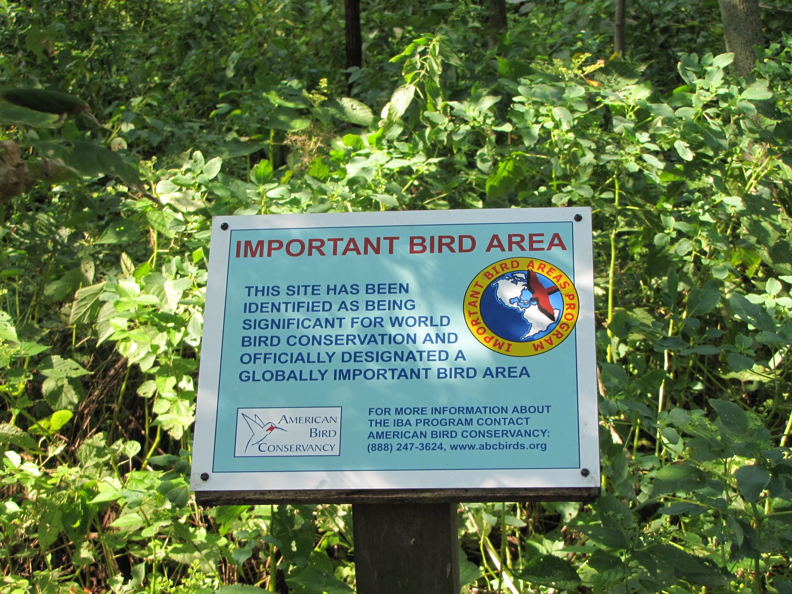 Flitzy Phoebie: Magee Marsh Wildlife Area - Ohio