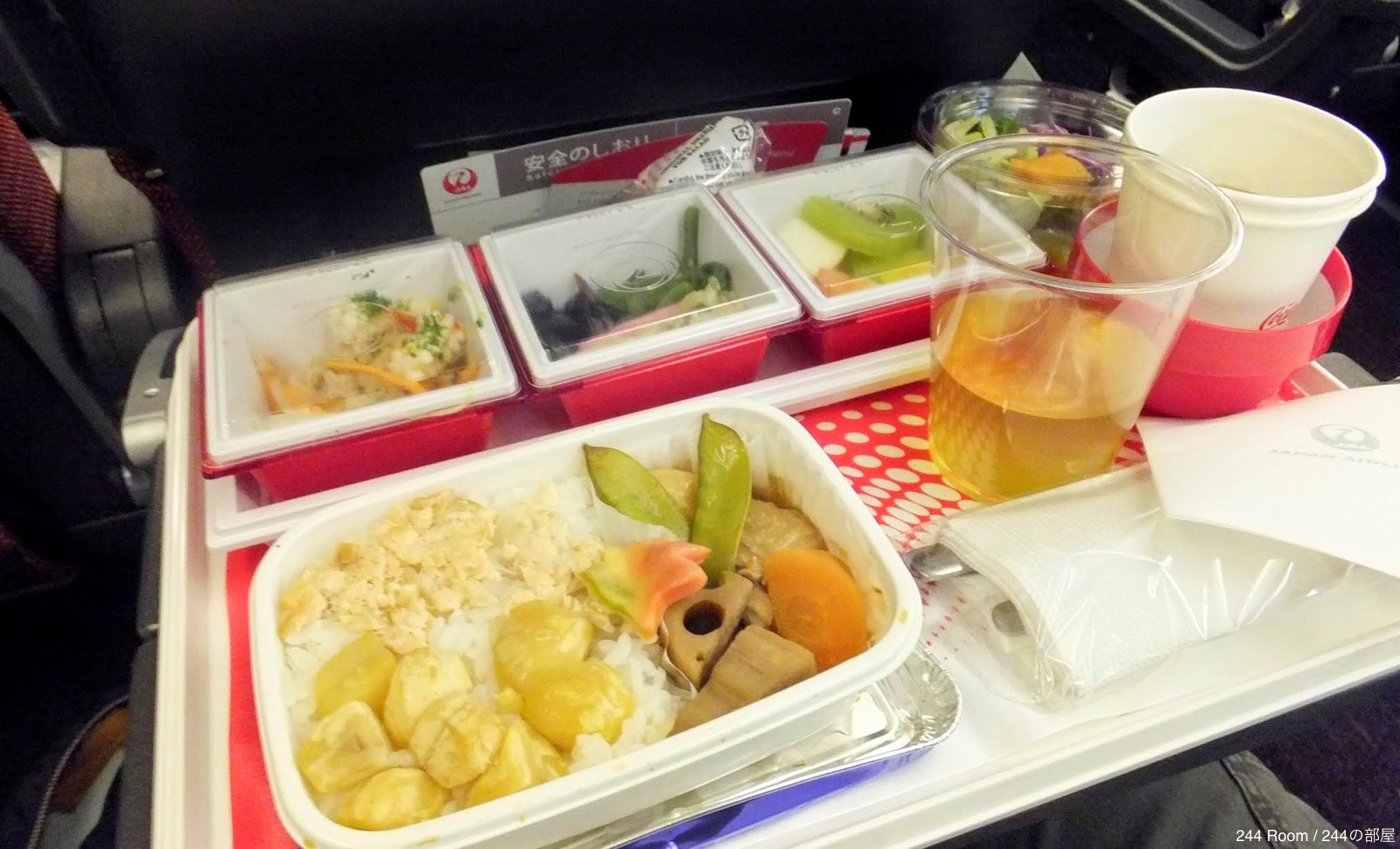 JAL日本航空国際線エコノミークラス搭乗記-JL751/787-8-"野菜だらけの機内食"｜東京(成田)＞ハノイ | 244 Room
