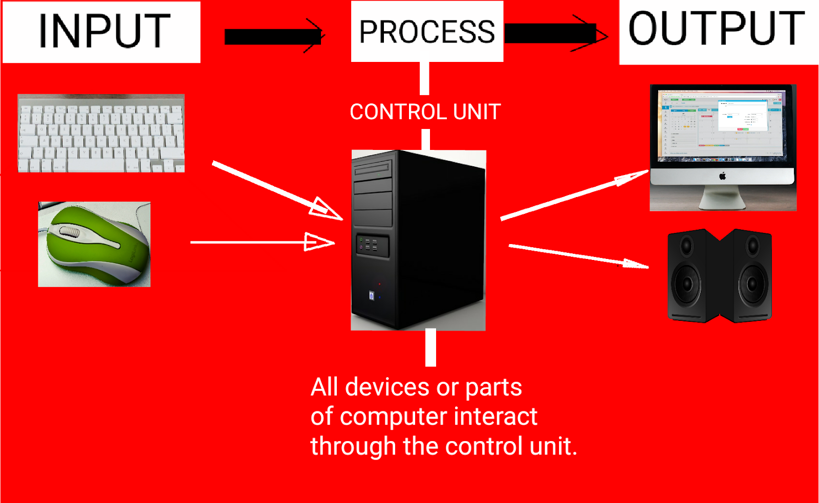 Computer Basic Edu Club