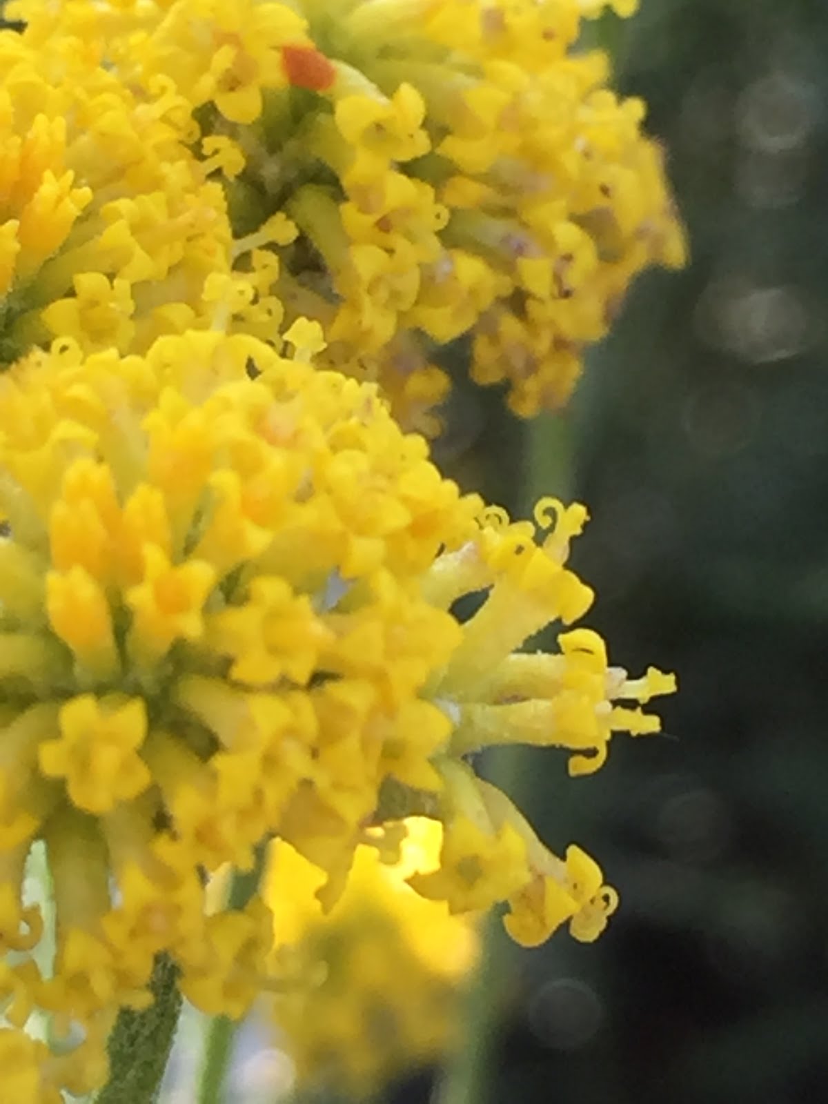 Trinity Bale's GCSE Media Blog: 2018