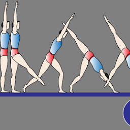 Iniciación a la investigación en la actividad física y salud