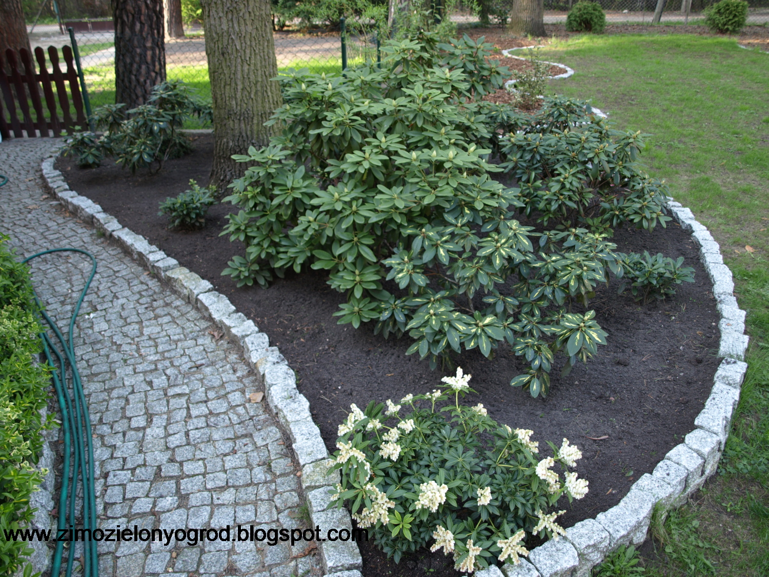 Zimozielony ogród: Wiosna w ogrodzie - porzadki i przyrosty roślin