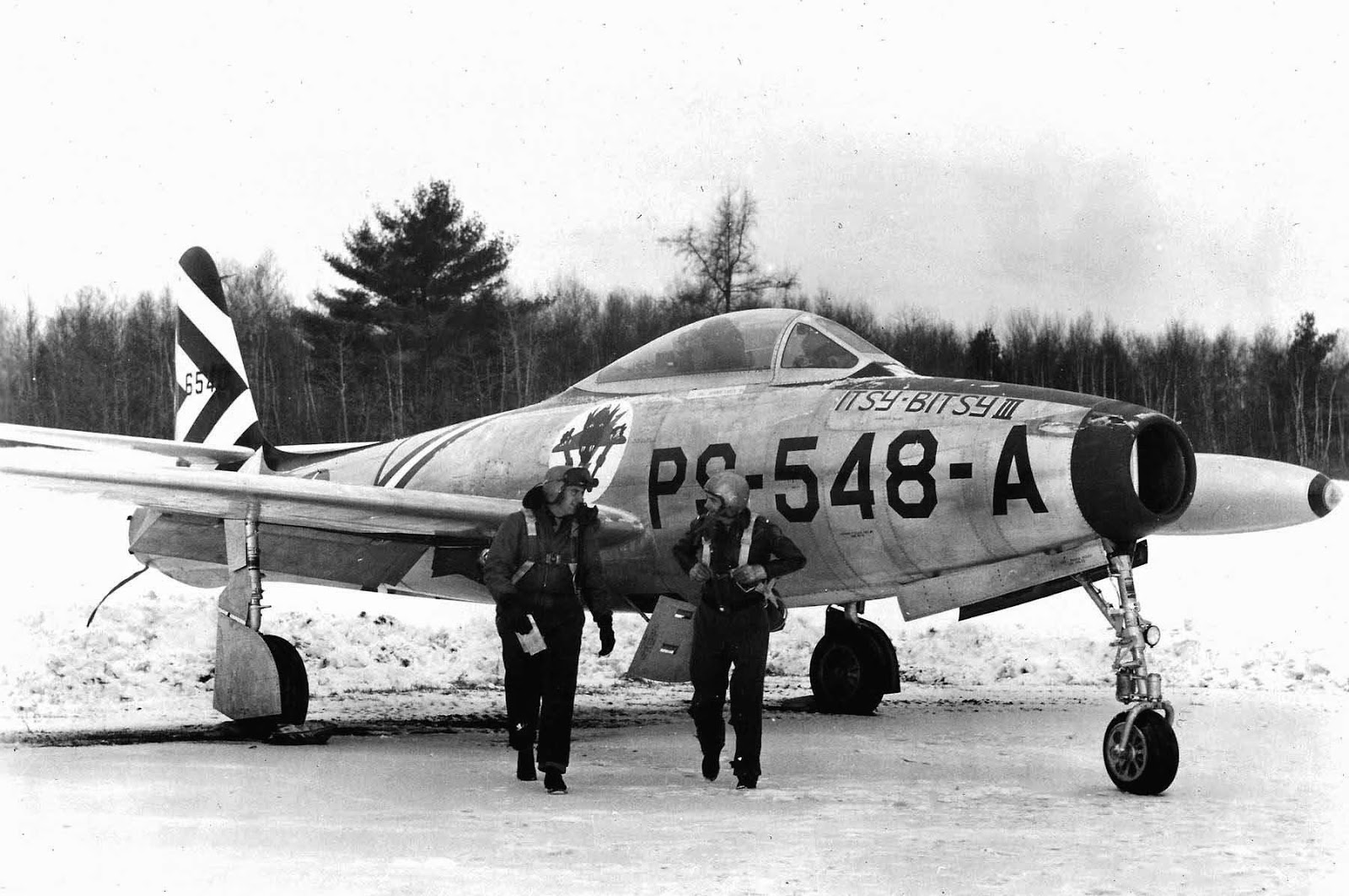 Aviones Caza y de Ataque: Republic F-84 Thunderjet