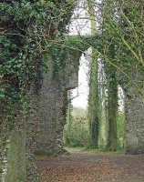 Sabrina's A2 Media Blog