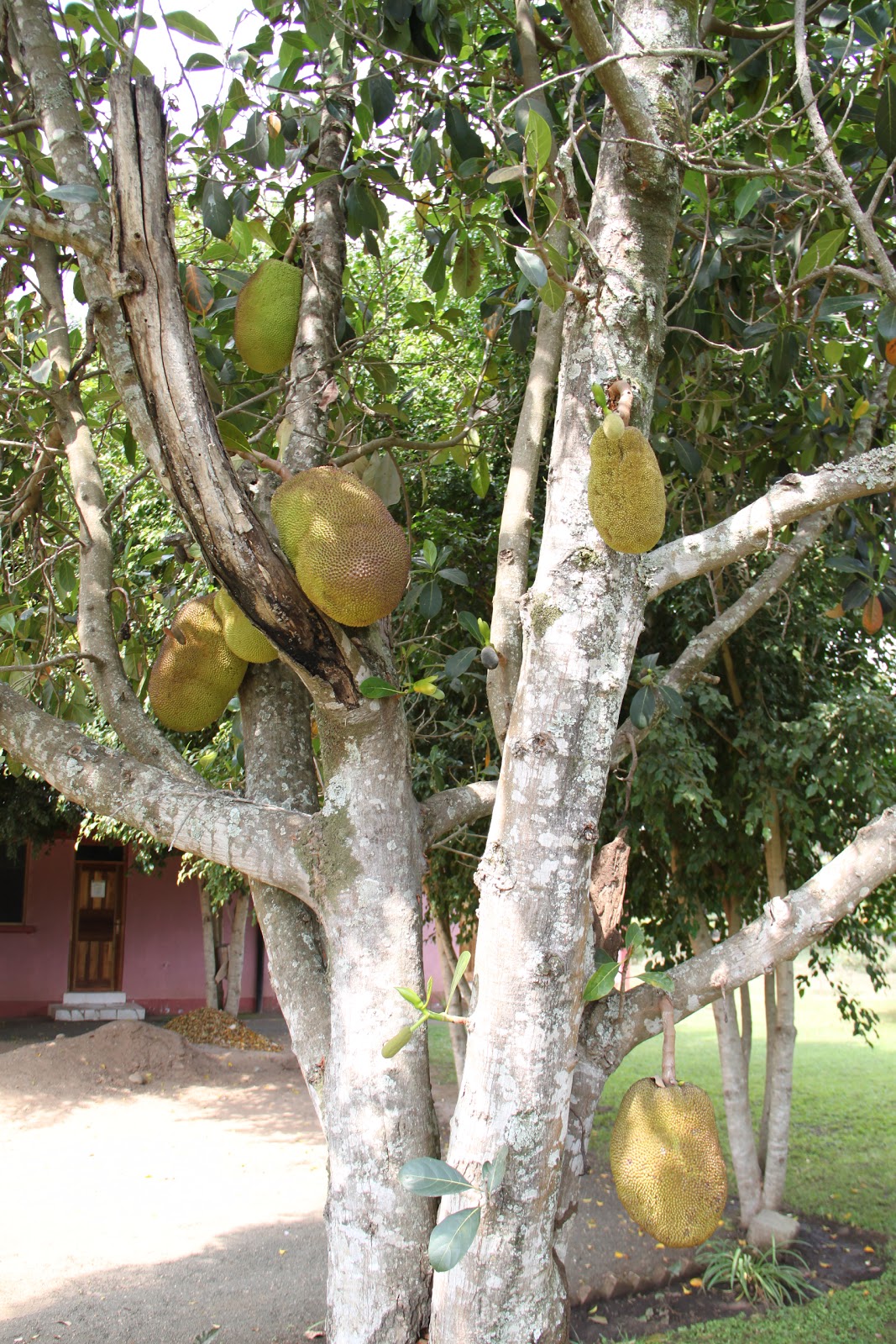 .bethany joy.: Fenesi Kubwa Sana