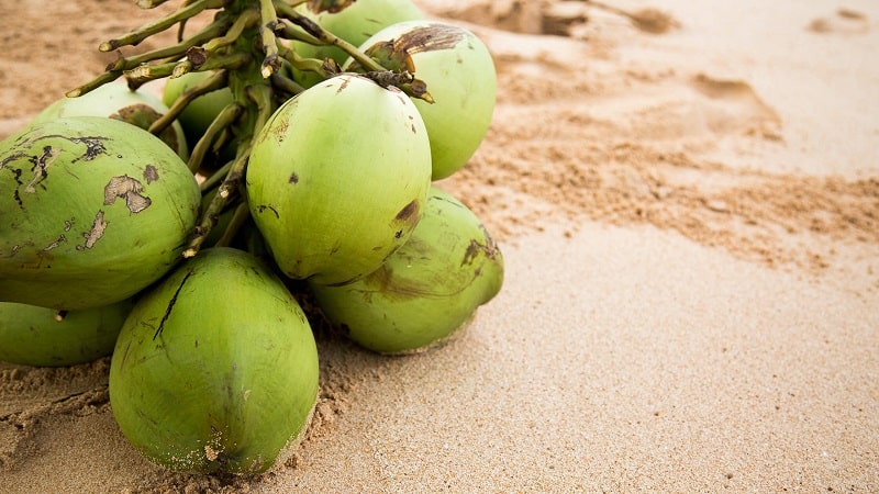 10 Core Benefits of Drinking Coconut Water than your favorite fruit ...