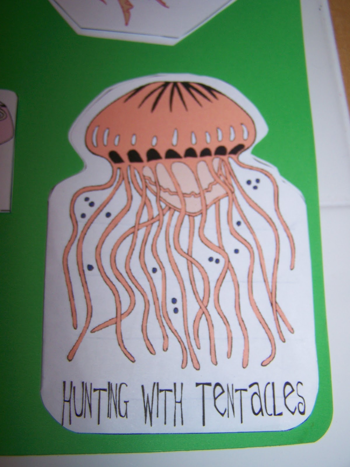 Walnut Hill Homeschool: First Grade Reading: Jellyfish Study