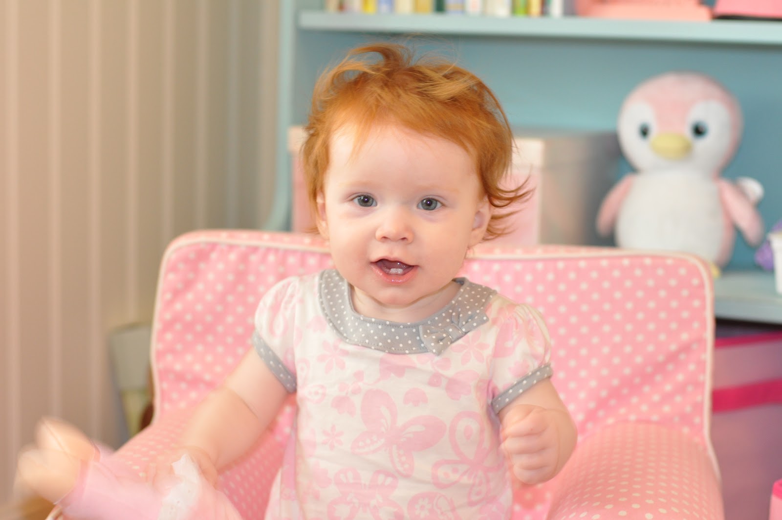 hello-darlyn-i-blame-this-blog-on-my-daughter-and-a-little-blue-bookcase