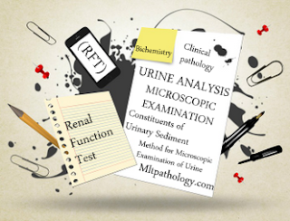 MICROSCOPIC EXAMINATION OF URINE