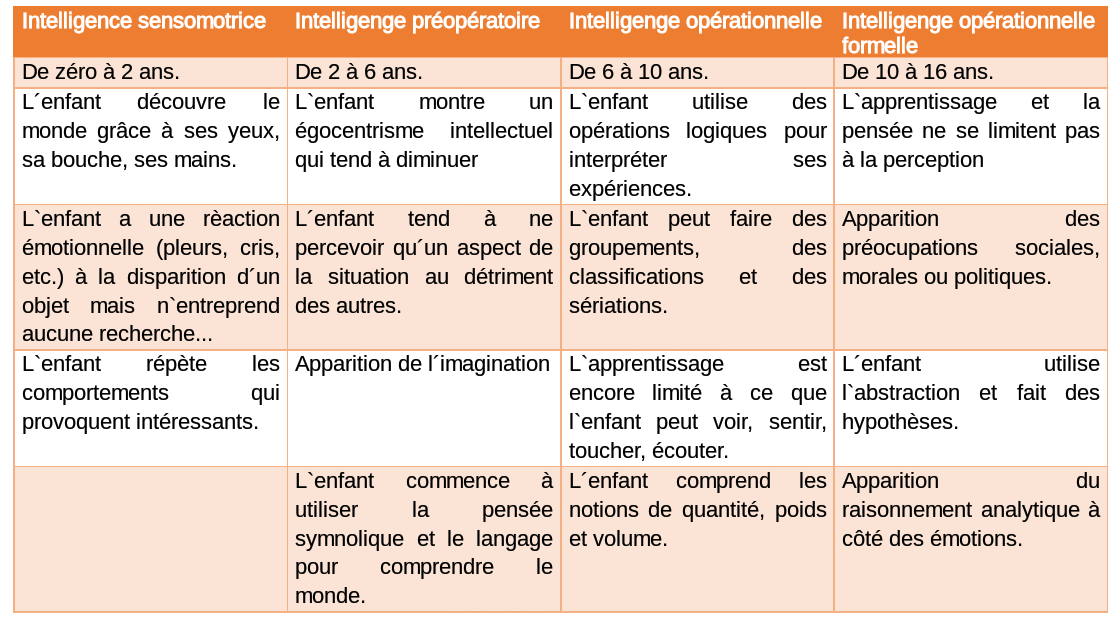 Tableau Des étapes De Développement De Piaget