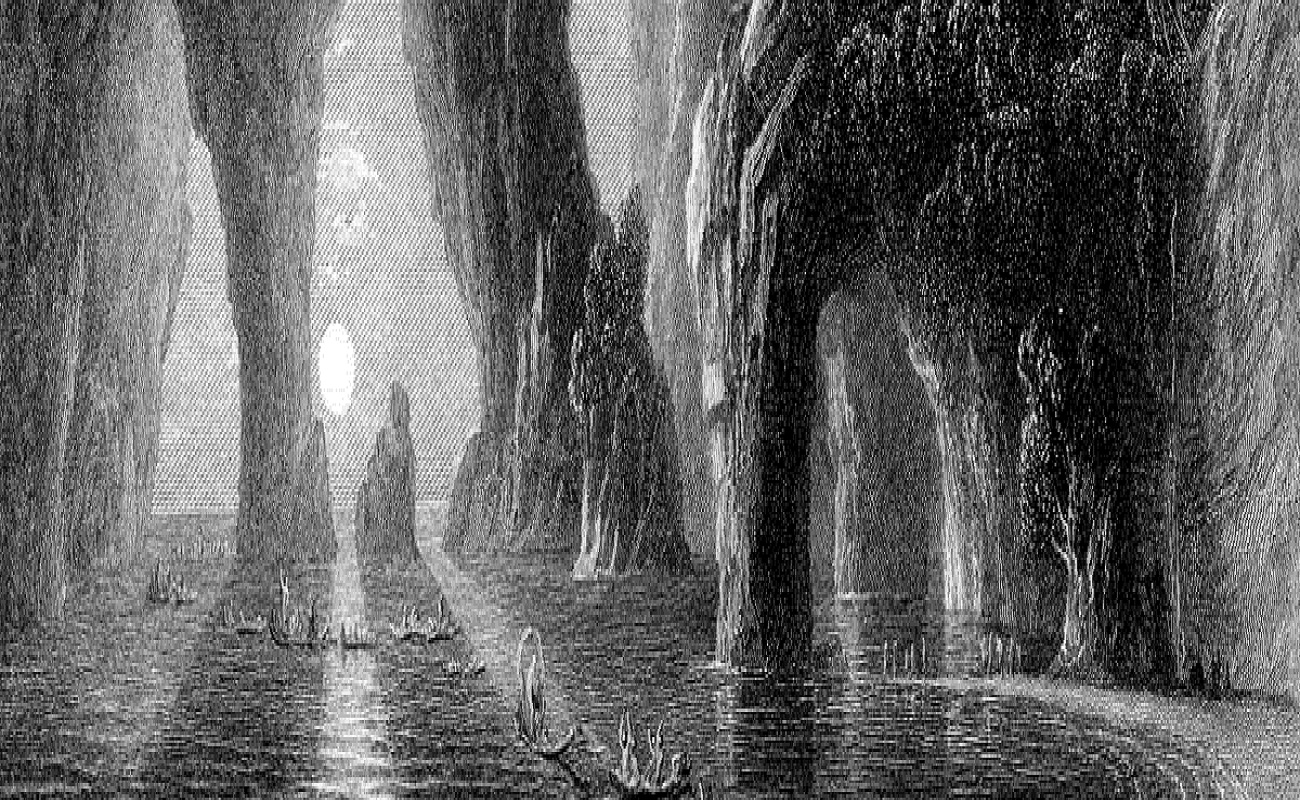 The Magic cafe: Художник и иллюстратор Дж. Август Кнапп (1853-1938 гг.)