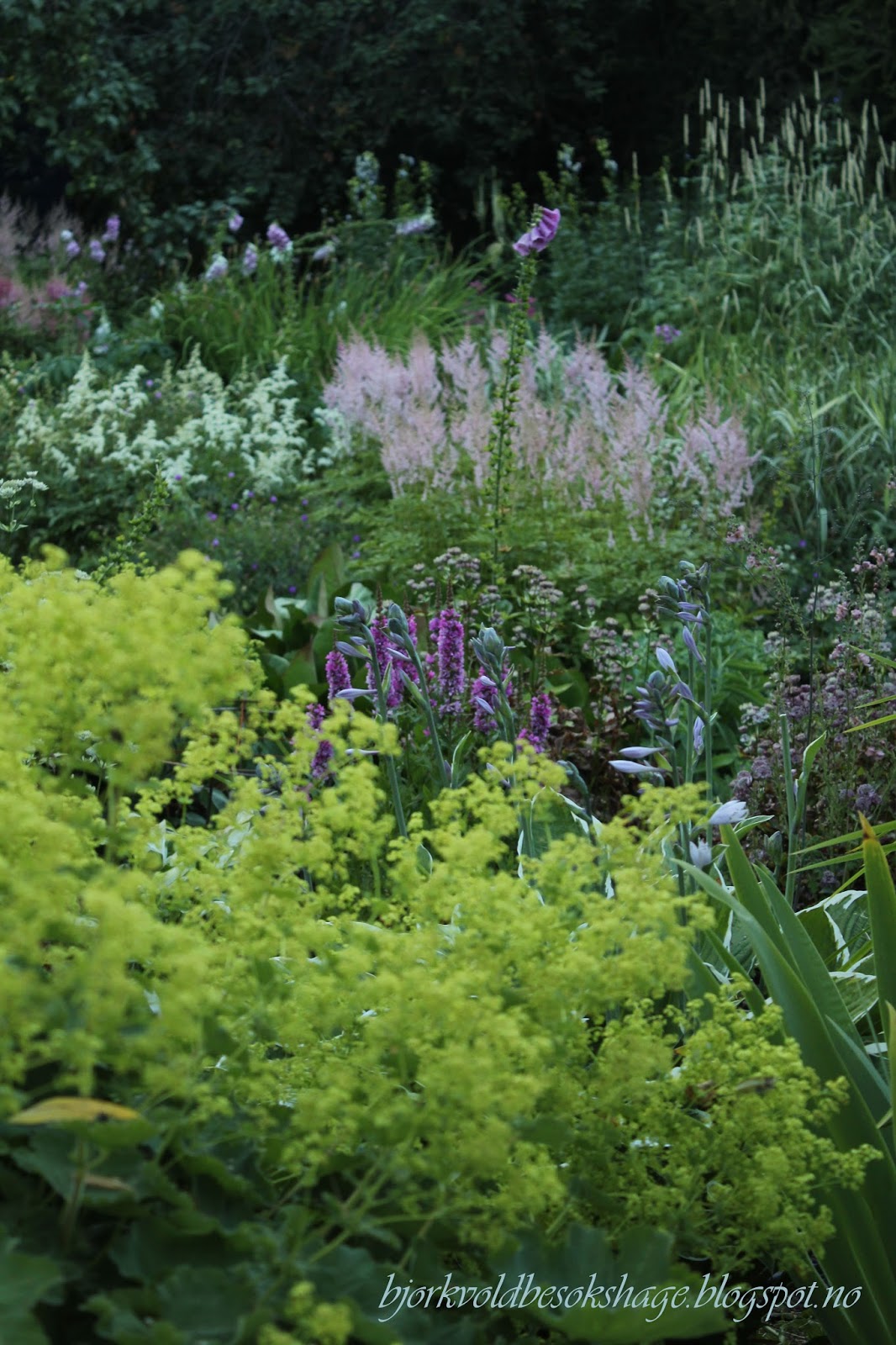 Bjørkvold besøkshage: Frodig