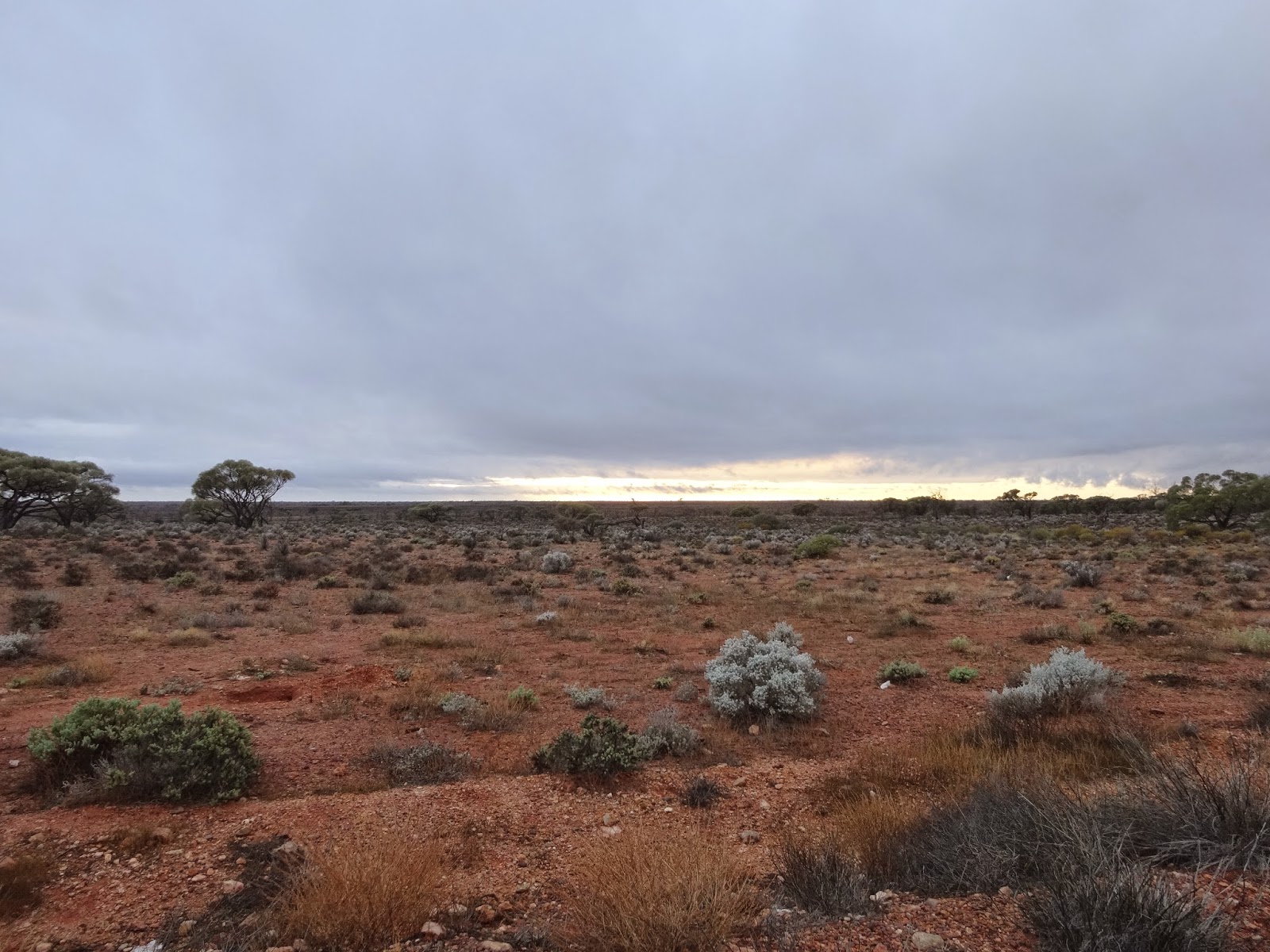 Julie & Lolo : Aussie girls: La traversée du désert rouge