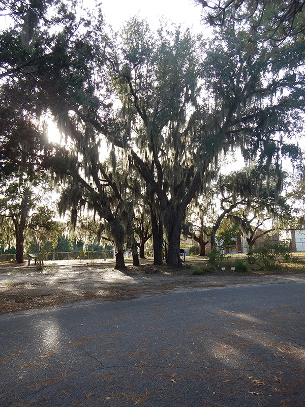 Sandcastle Momma: Eglin Air Force Base's Jackson Guard