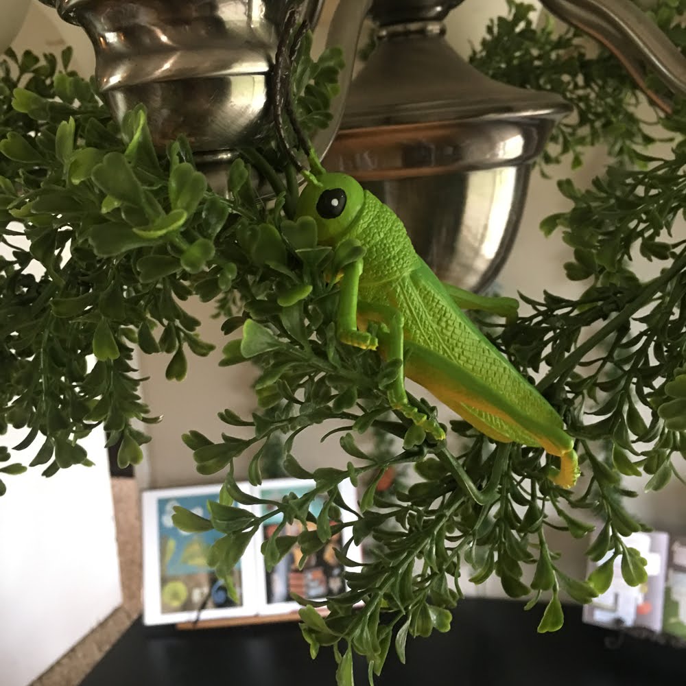 Bug Bash Birthday Party! | Collecting the Moments