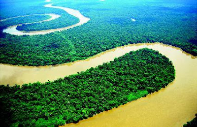 What A Wonderful World: The Great Amazon River