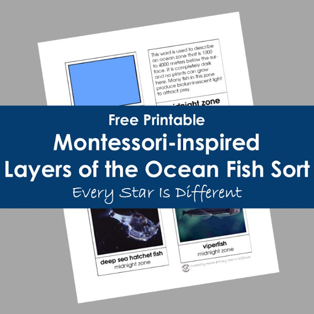 Montessori-inspired Fish Activities for Kids with Free Printable ...