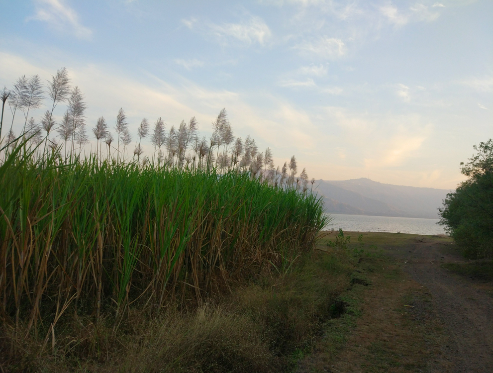 Top Things To Do In Wai, Maharashtra