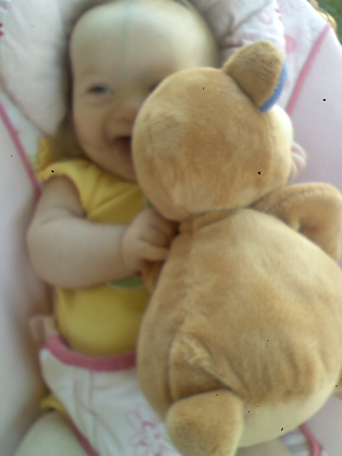 My Liddy Bug: Frustration Central