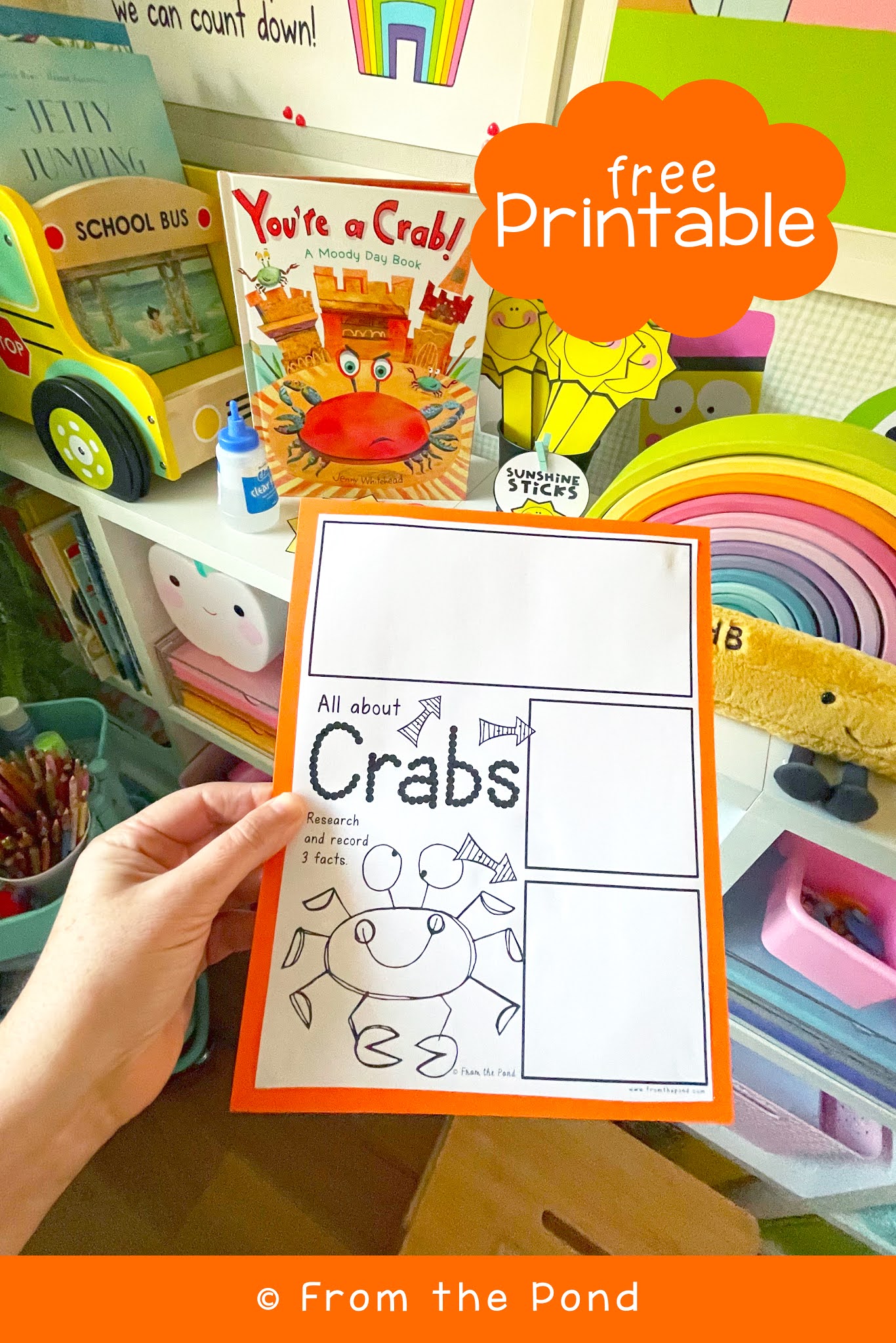 Crab Teaching Resources | From the Pond