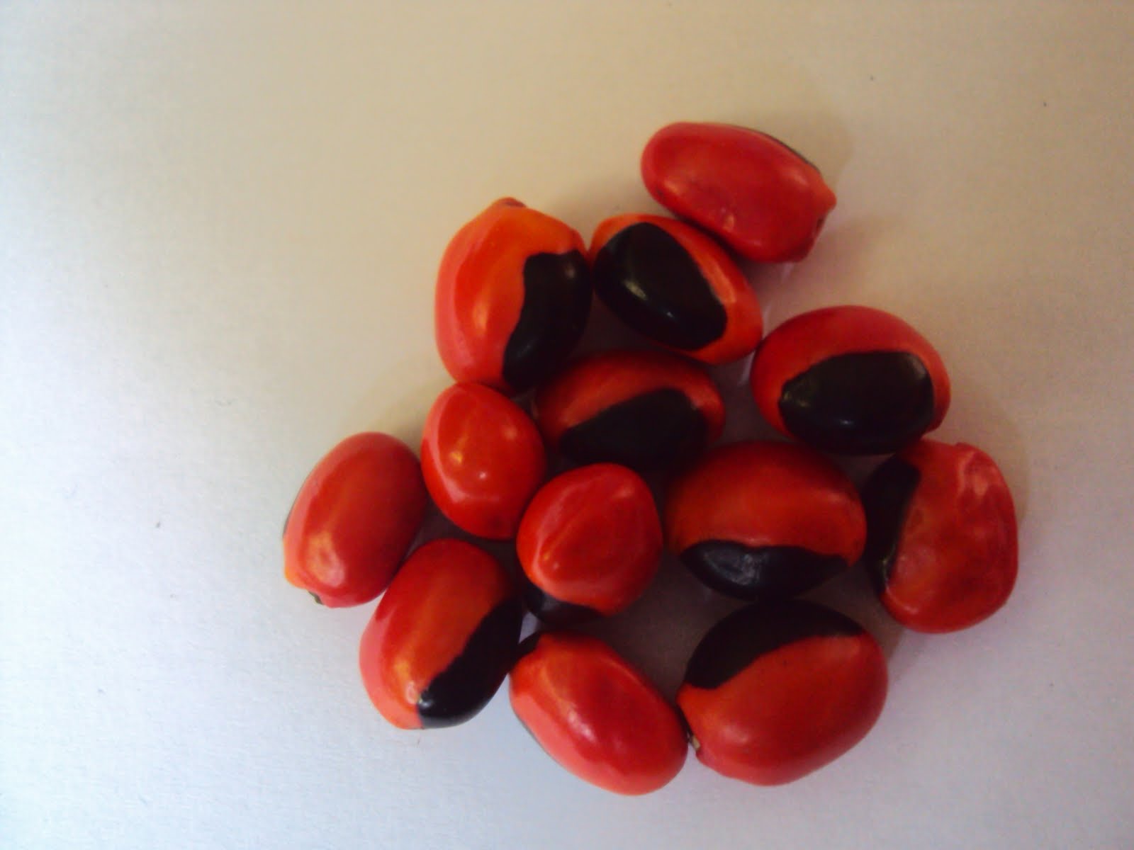 Empresa HUAYRURO: QUIENES SOMOS