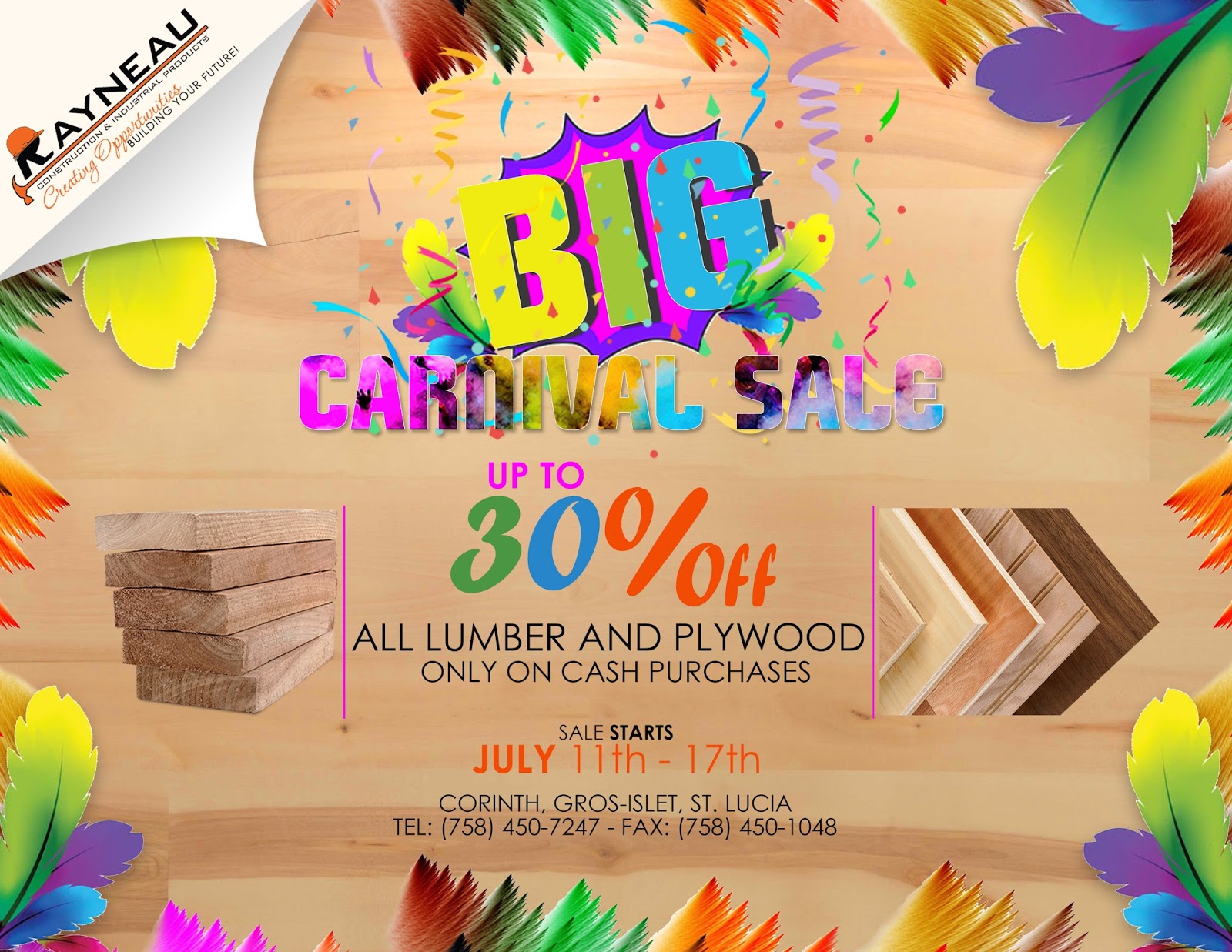 Rayneau -The Store of the Future: Big Carnival Sale - Be Secured With ...