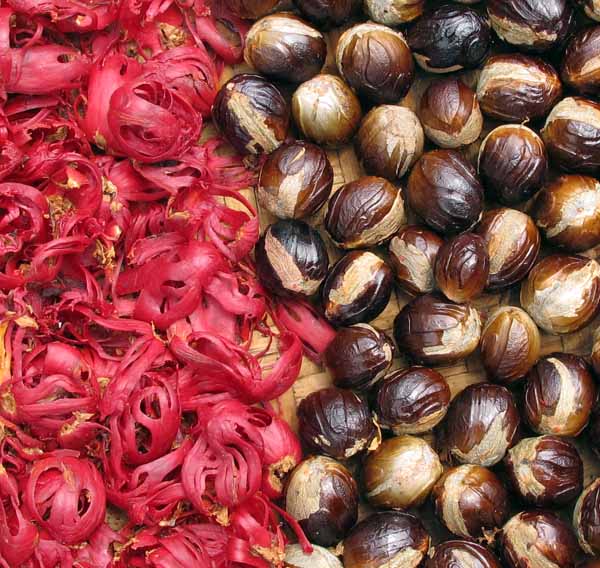 Jalan-jalan: Kepulauan Banda