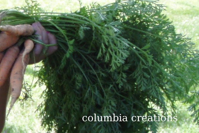 Columbia Creations: Carrot Top Tea