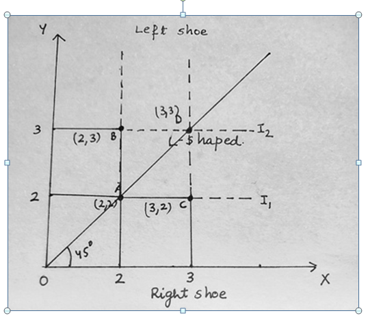 INDIFFERENCE CURVE OF PERFECT COMPLEMENTS