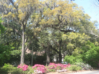 Southern Folk Artist & Antiques Dealer/Collector: A Spring walk along ...