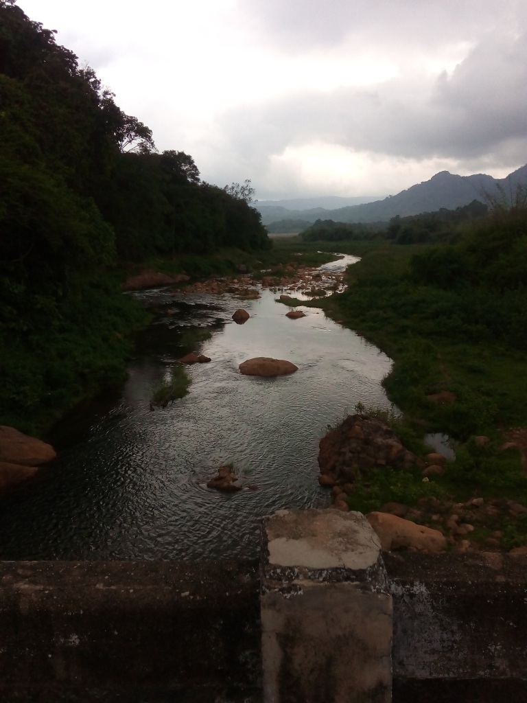 Tamilnadu Tourism: Kalikesam Forest & Waterfalls, Kanyakumari
