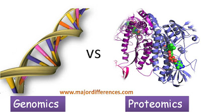 Difference between Genomics and Proteomics - MD