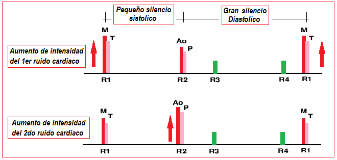 Auscultación Cardíaca. Generalidades Parte 1 ~ PreveCOR