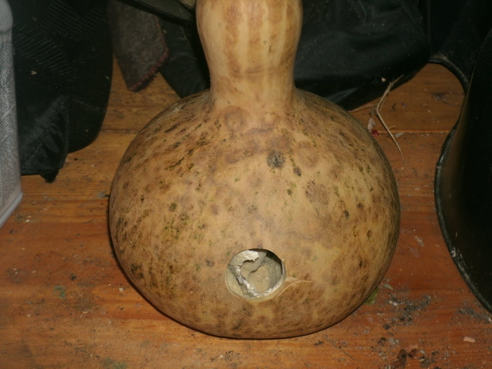 The Craftivist: Cleaning the Inside of a Gourd
