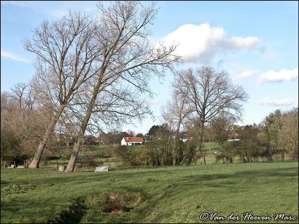 Landelijk Aaigem: Wandeling naar Ressegembos