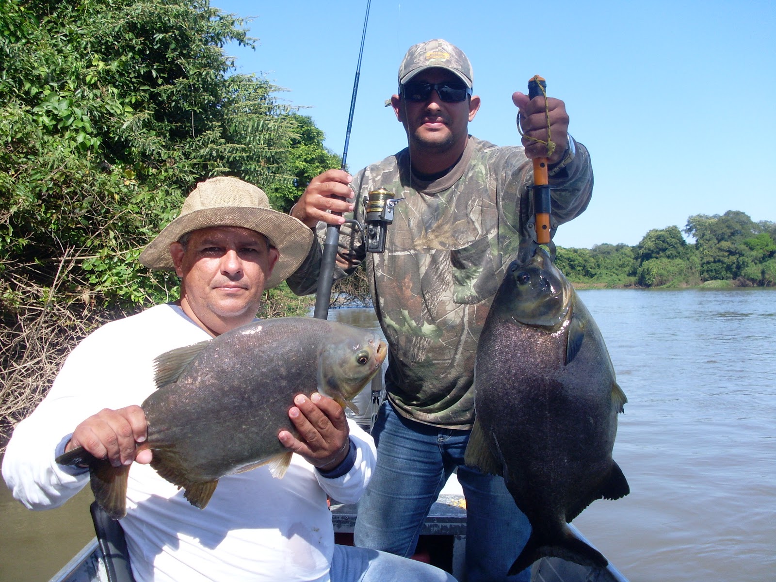 PESCADOR DO PANTANAL: PACU