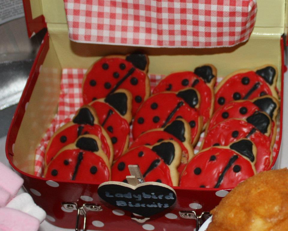 My Guide To Home Made: Ladybird Picnic (2012 Party Planner Party No 4)