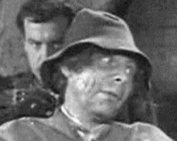 INNER TOOB: TELE-FOLKS DIRECTORY - WHO'S A FAN OF VICTOR WOOLF?