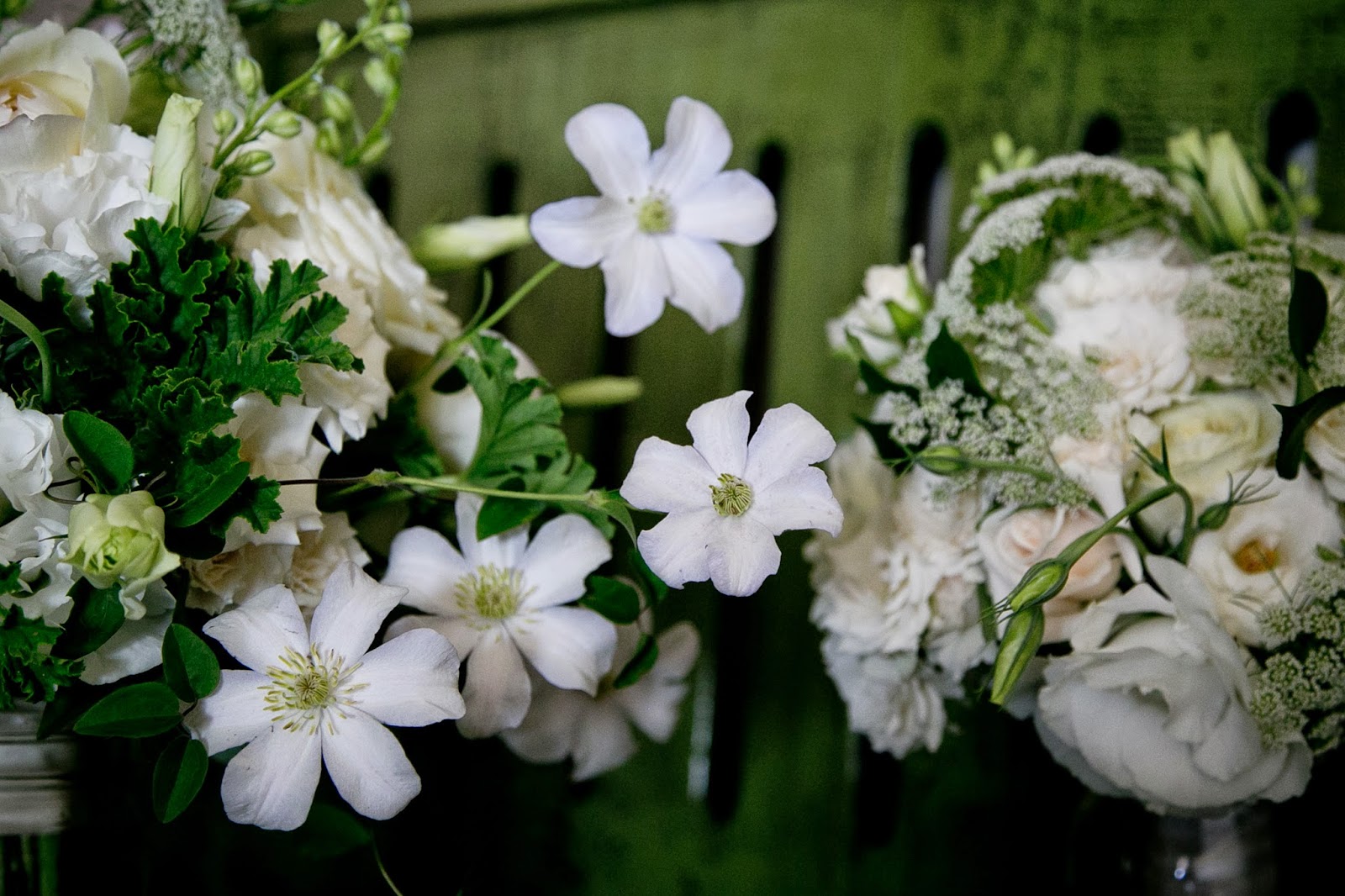 Chickadee Hill Flowers: FLOWERS