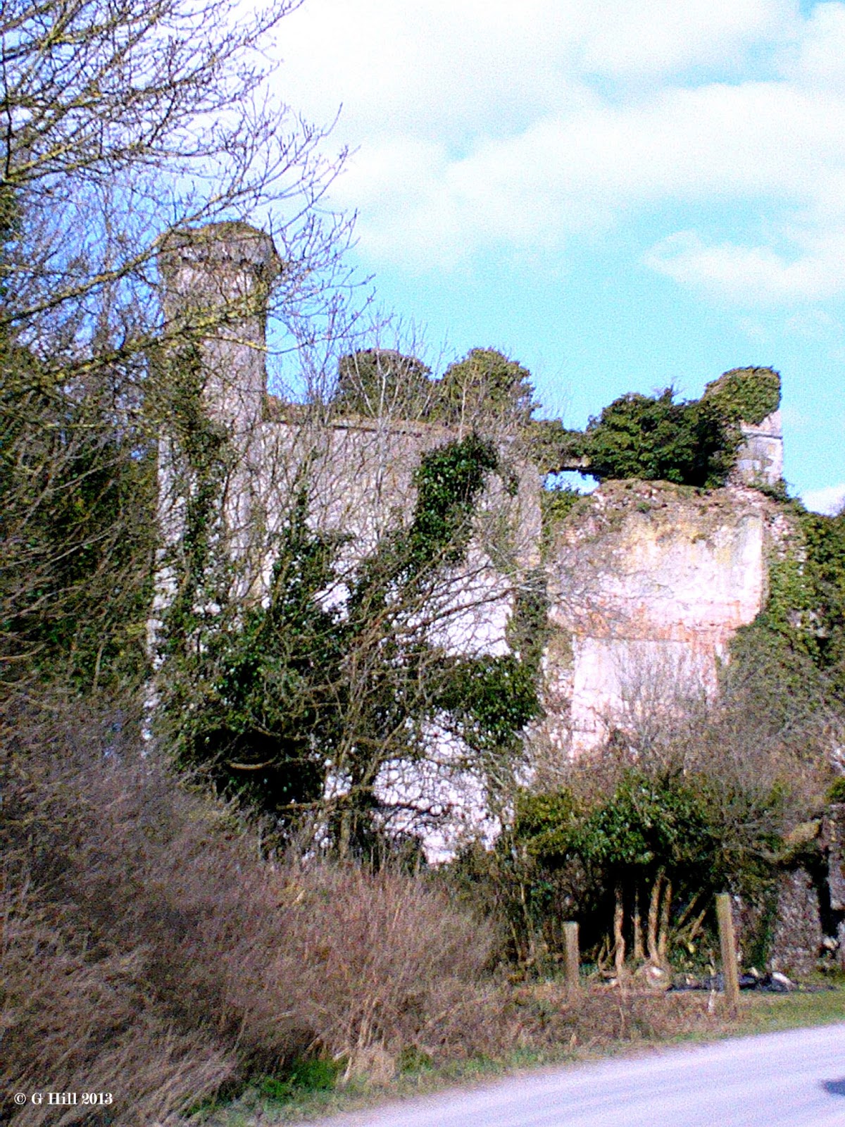 Ireland In Ruins: Moydrum Castle Co Westmeath