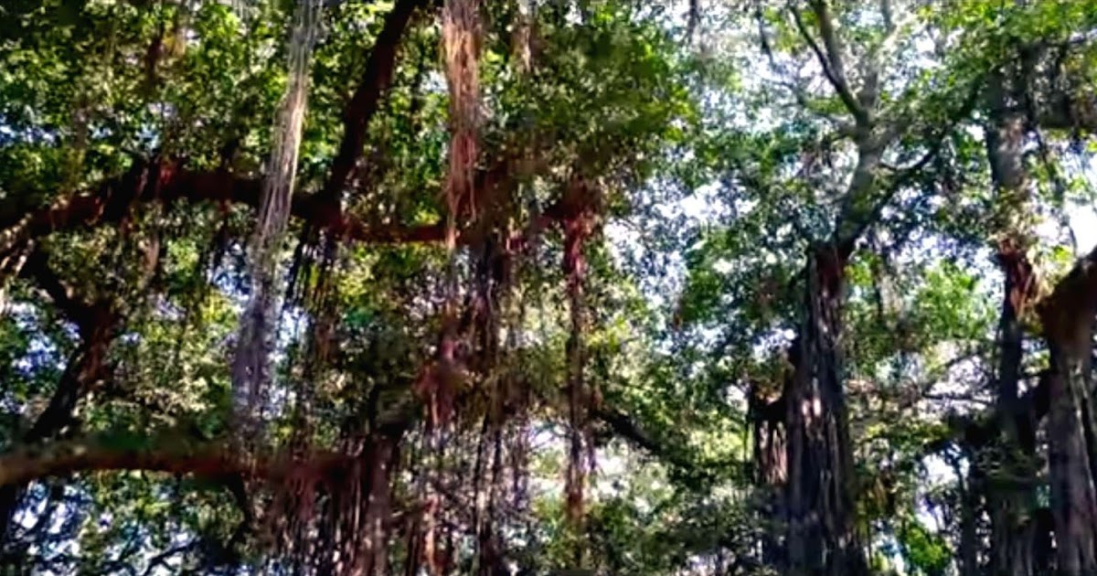 Kabirvad PhotosPlaces to Visit in Gujarat