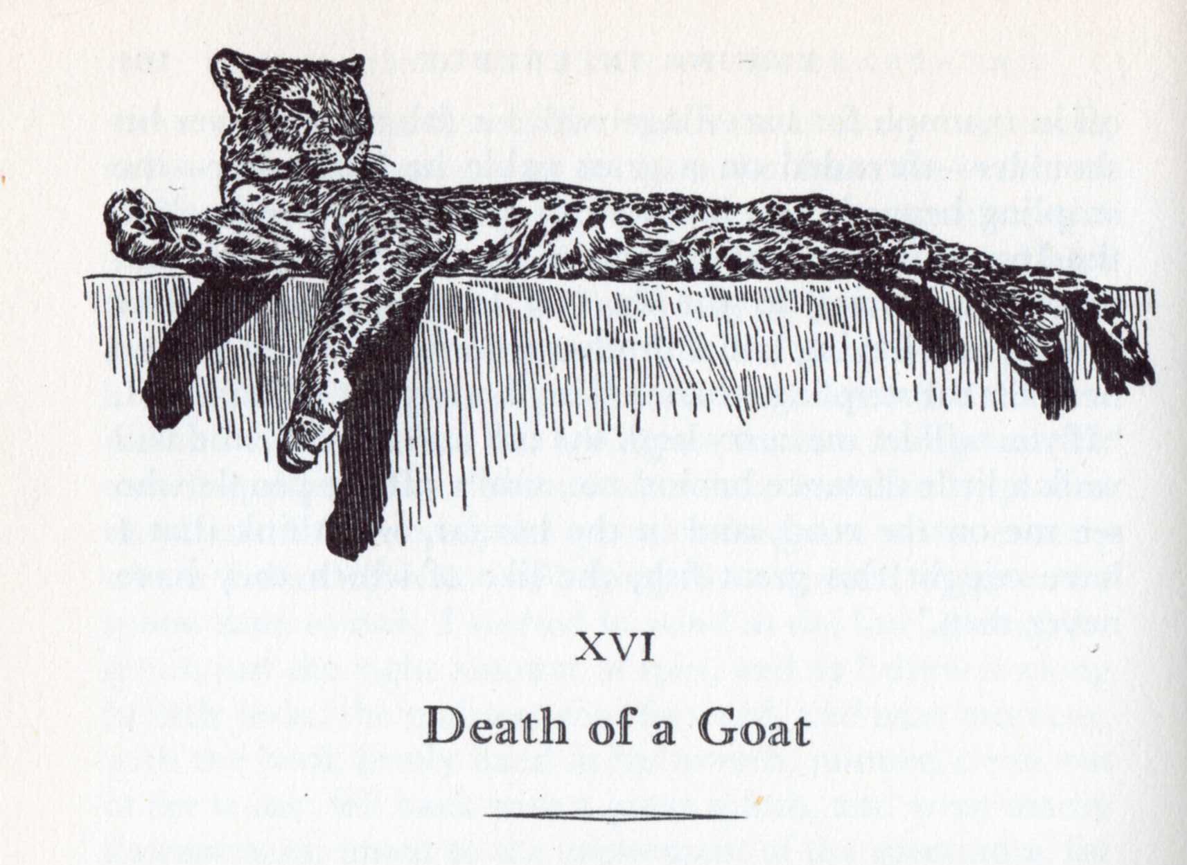 Raymond Sheppard and The Man-Eating leopard of Rudraprayag by Jim ...