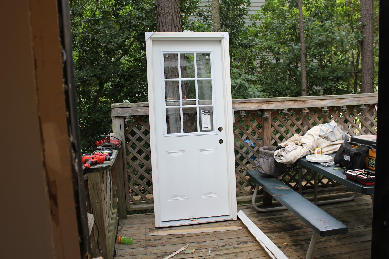 PeaHen Pad: New Back Door