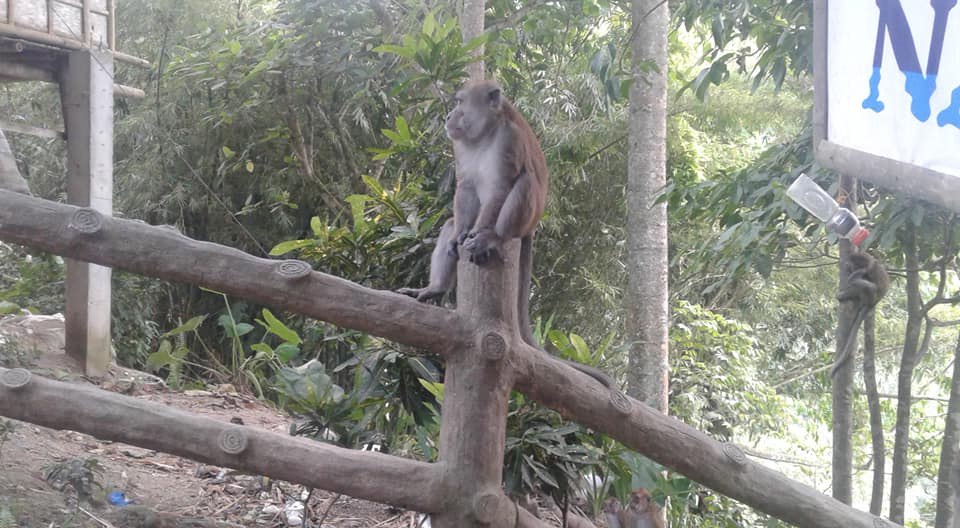 The 7 Falls of Lake Sebu, South Cotabato via Tacurong City, Sultan Kudarat