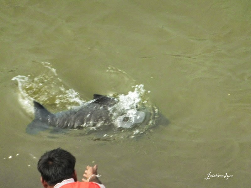 My Views: A Temple Tour-2 Annapoorna , Sringeri