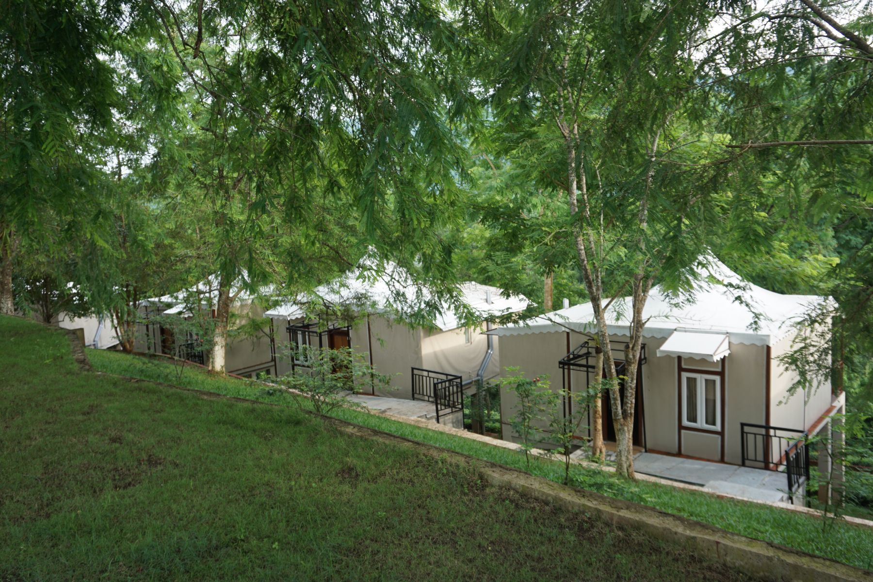 Resorts Near Kaziranga National Park